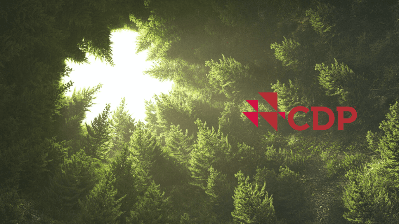 How to Improve Your Carbon Disclosure Project Score | Achilles How to Improve Your Carbon Disclosure Project Score | Achilles
